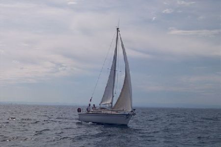 Kelt Kelt 7,60 Occasion de 1981 - Annonce 650 - France Bateau